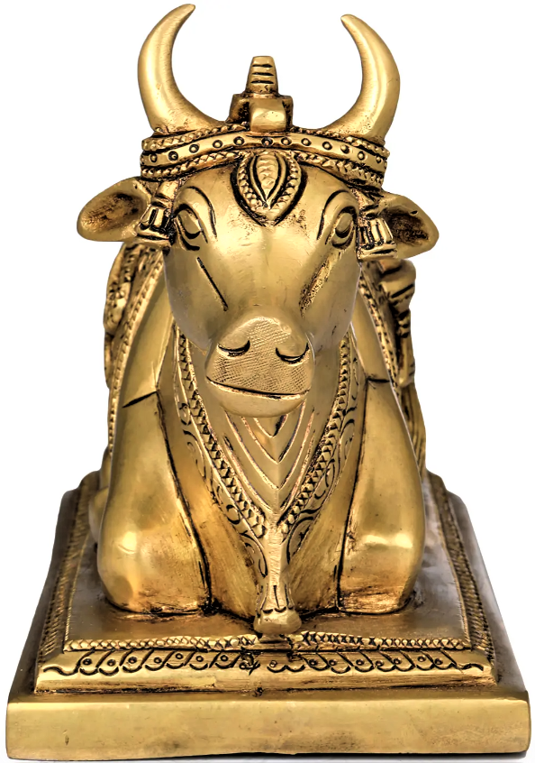 Nandi Bull Idol